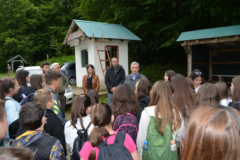 11 Јуни Меѓународен Ден на Рисот - Шумарите